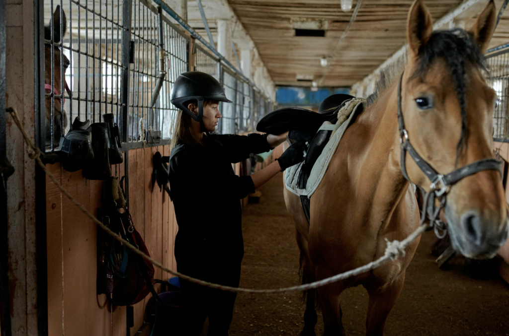 How to Train a Horse? | Jayde Slade Preformance Horses
